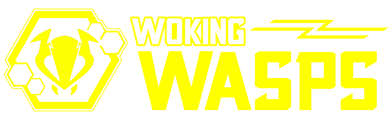 HOME - Woking Wasps Ultimate Frisbee